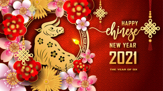 Chinese spring festival 2021 store
